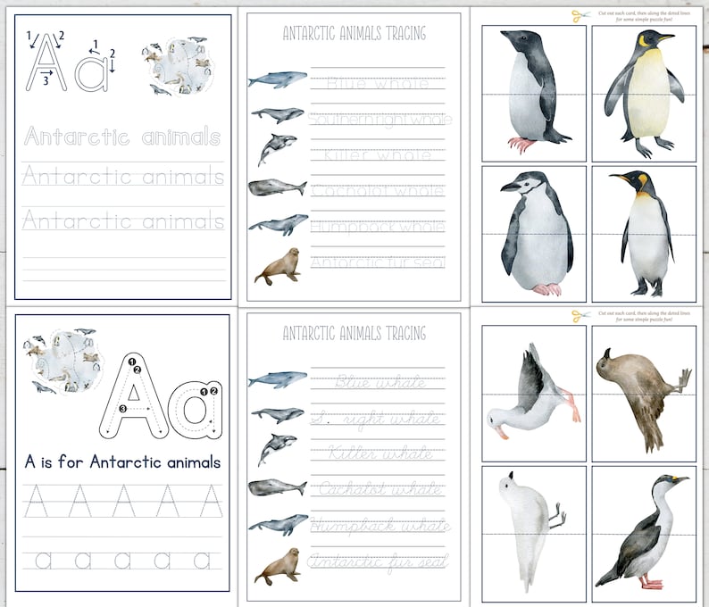Antarctic Animals Unit Study: Homeschool Science Printable (instant ...