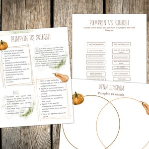 PUMPKIN Unit Study Life Cycle Anatomy Nature Study - Etsy