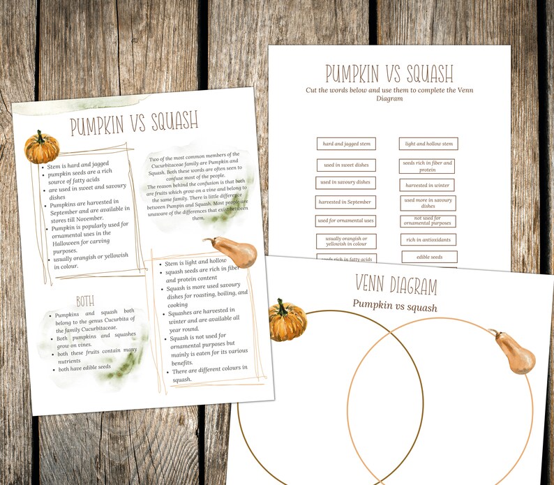 PUMPKIN Unit Study Life Cycle Anatomy Nature Study - Etsy