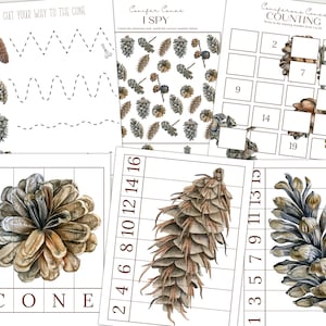 CONIFER Cones Unit Study, Vocabulary, Anatomy, Handwriting, Homeschool ...