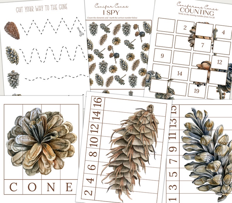 CONIFER Cones Unit Study, Vocabulary, Anatomy, Handwriting, Homeschool ...