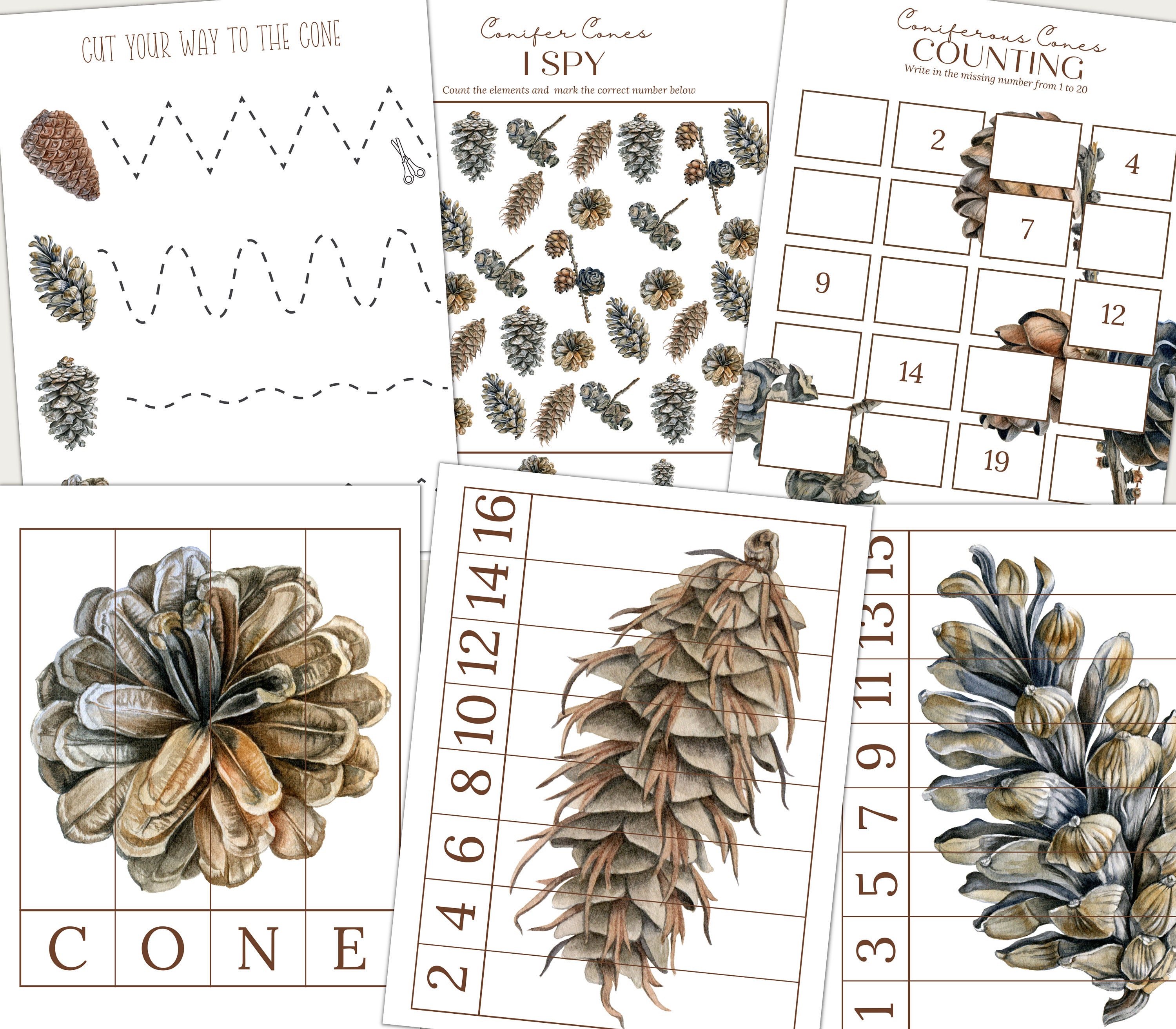 CONIFER Cones Unit Study, Vocabulary, Anatomy, Handwriting, Homeschool ...