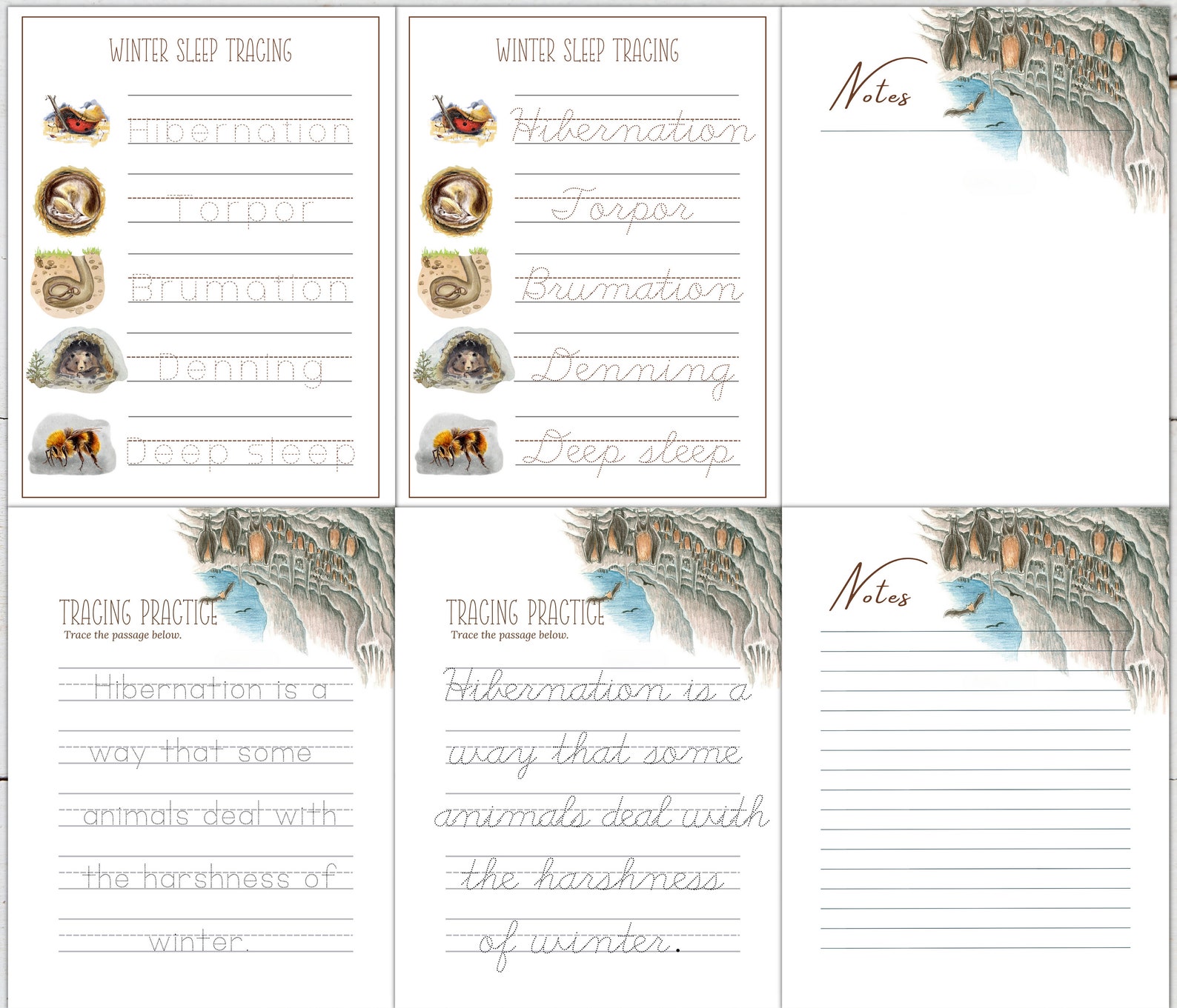 WINTER SLEEP Unit Study, Hibernation, Nature Study, Science ...
