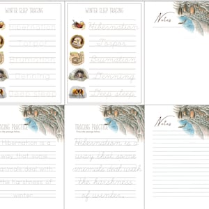 WINTER SLEEP Unit Study, Hibernation, Nature Study, Science ...