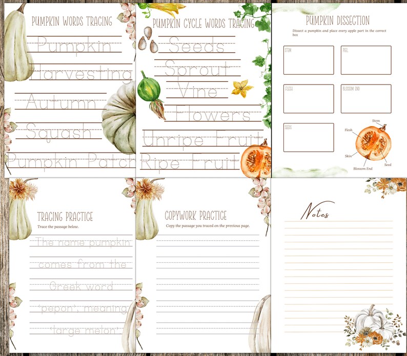 PUMPKIN Unit Study Life Cycle Anatomy Nature Study - Etsy