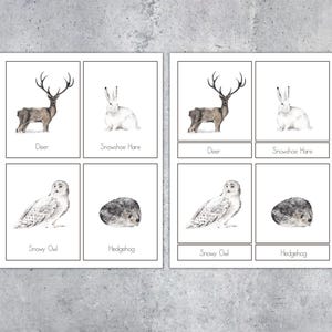 WINTER FOREST Animals Montessori 3 Part Cards. Preschool Vocabulary ...