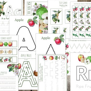 APPLE Unit Study Life Cycle Anatomy Nature Study Science - Etsy
