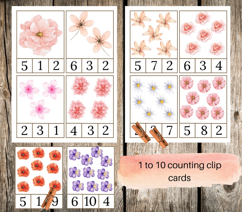 FLOWERS Mini Study Unit Life Cycle Anatomy Science - Etsy