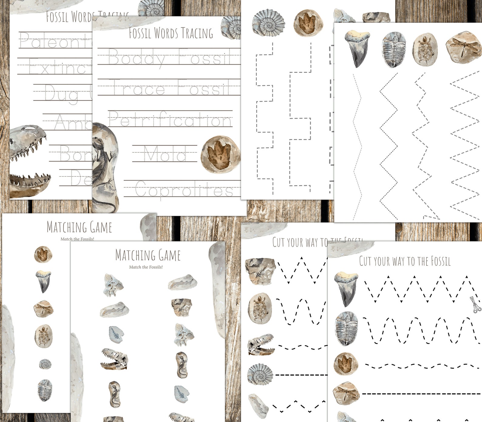 FOSSILS Unit Study Anatomy Nature Study Science - Etsy