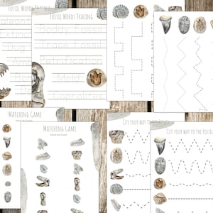 FOSSILS Unit Study, Anatomy, Nature Study, Science, Handwriting ...