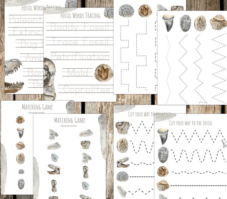 FOSSILS Unit Study Anatomy Nature Study Science - Etsy