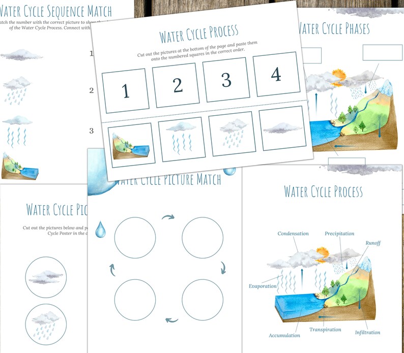 WATER CYCLE Unit Study Process Nature Study Science | Etsy