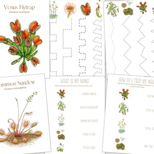 CARNIVOROUS PLANTS Unit Study, Anatomy, Nature Study, Science ...