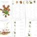 CARNIVOROUS PLANTS Unit Study, Anatomy, Nature Study, Science ...
