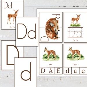 Letter D is for Deer: Alphabet Learning Activities (printable Digital ...