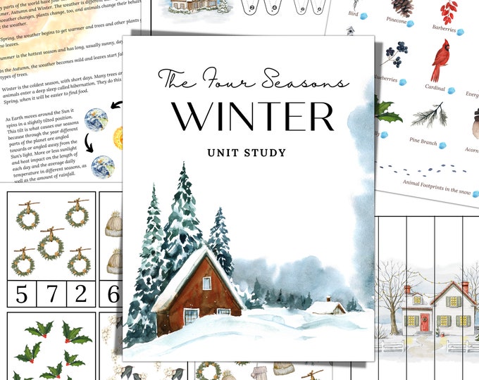 Polar Bear Colour Activity, Colour Learning, Winter Preschool Printable ...