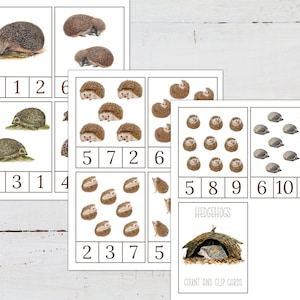 HEDGEHOG Unit Study, Life Cycle, Anatomy, Nature Study, Science ...
