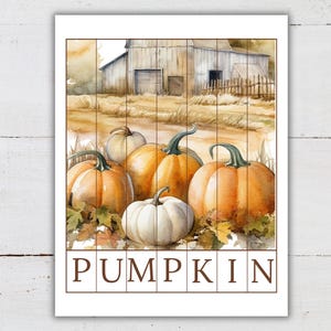 LETTER of the WEEK, P is for Pumpkin, Letter P Activities, Alphabet ...