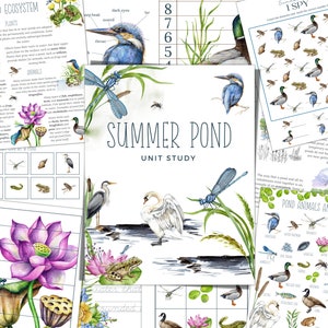 Pond Life Unit Study Bundle: Homeschool Printables (instant Download ...