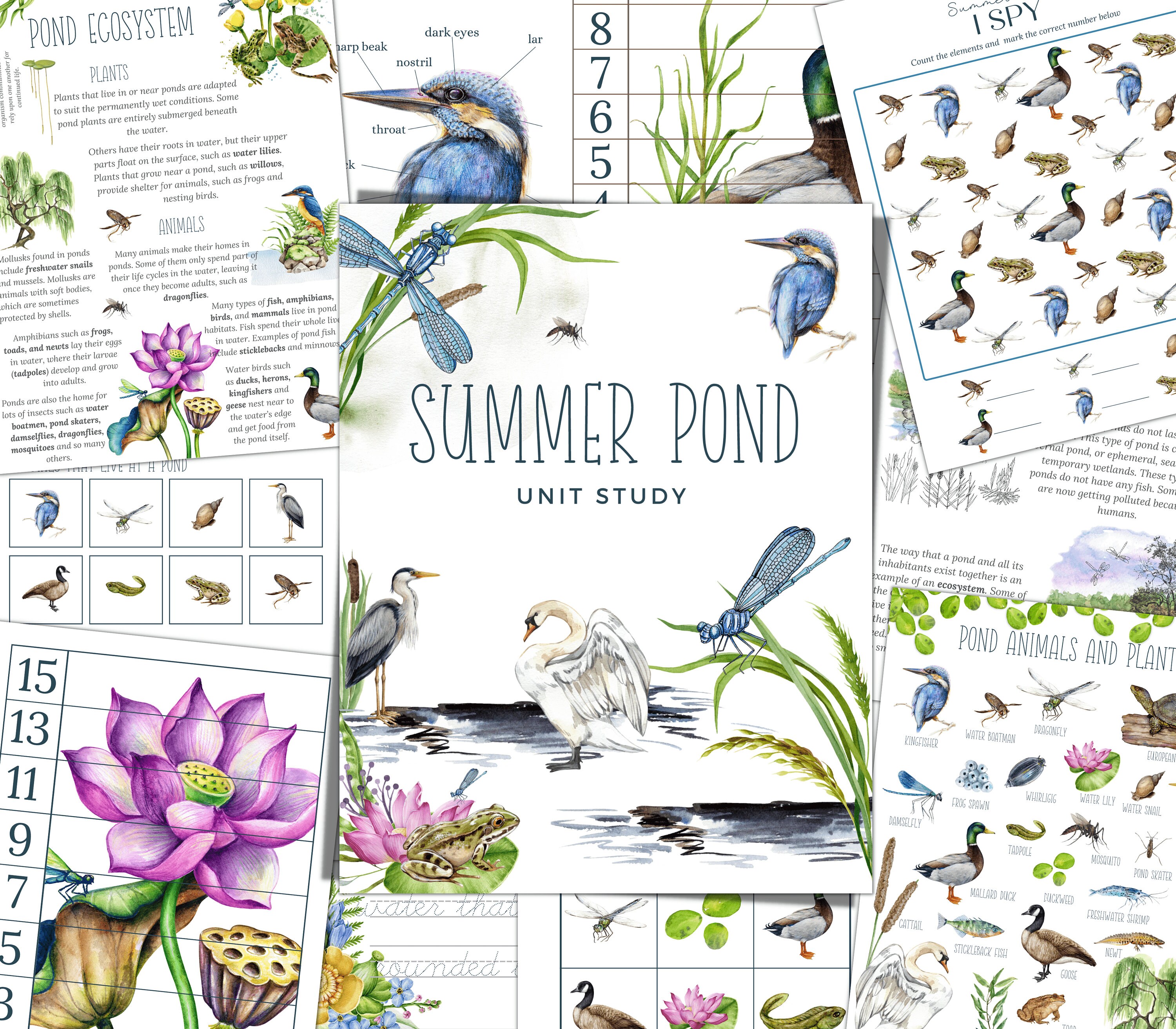 Pond Life Unit Study Bundle: Homeschool Printables (instant Download ...