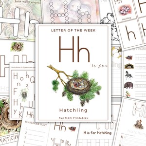 LETTER of the WEEK, H is for Hatchling, Letter H Activities, Alphabet ...