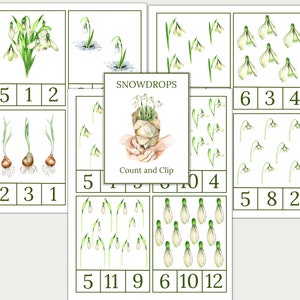 SNOWDROP Unit Study, Life Cycle, Anatomy, Nature Study, Science ...