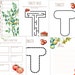 TOMATO Unit Study, Life Cycle, Anatomy, Nature Study, Science ...