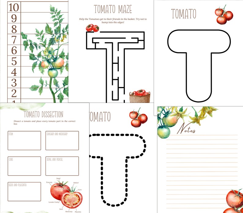 TOMATO Unit Study Life Cycle Anatomy Nature Study Science - Etsy
