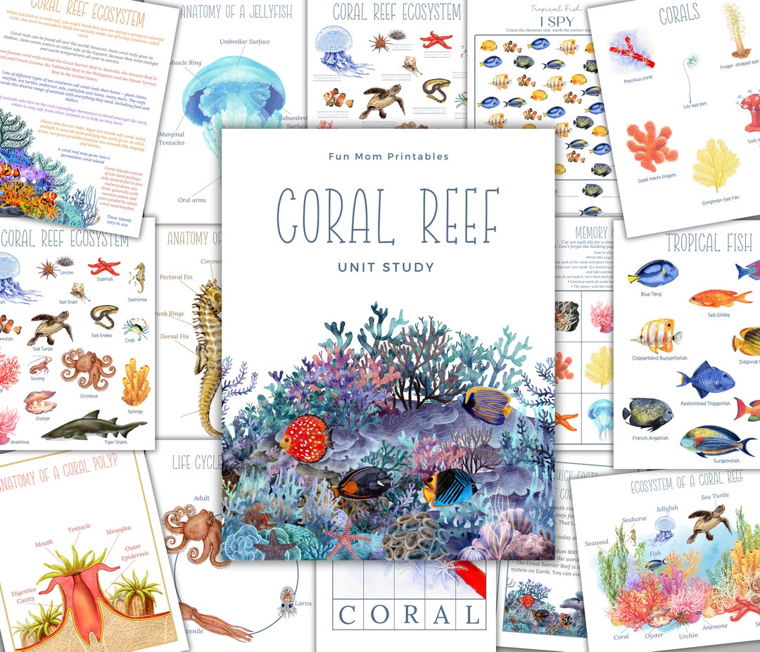 Coral Reef Unit Study: Homeschool Science Printable (instant Download ...