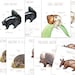 ANIMAL DEFENSES Unit Study, Anatomy, Nature Study, Science, Handwriting ...