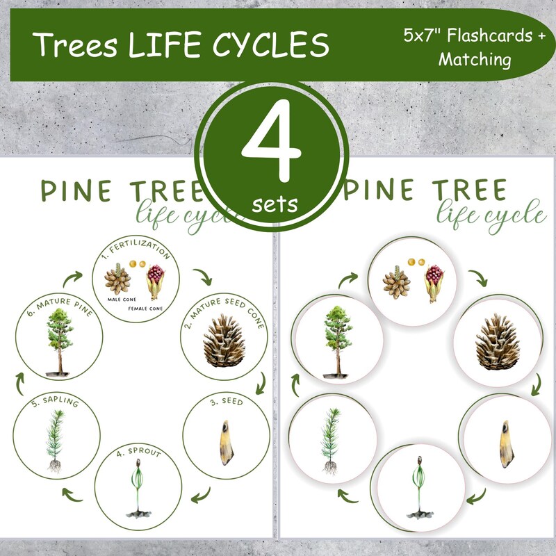 FunMomPrintables - Etsy