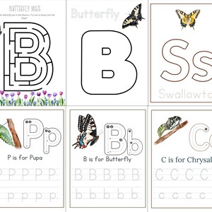 Swallowtail BUTTERFLY Unit Study, Life Cycle, Anatomy, Nature Study ...