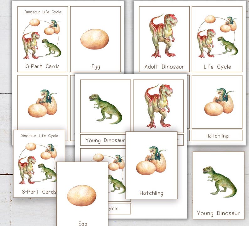 DINOSAUR Life Cycle, Nature Study, Homeschool Printable, Instant ...
