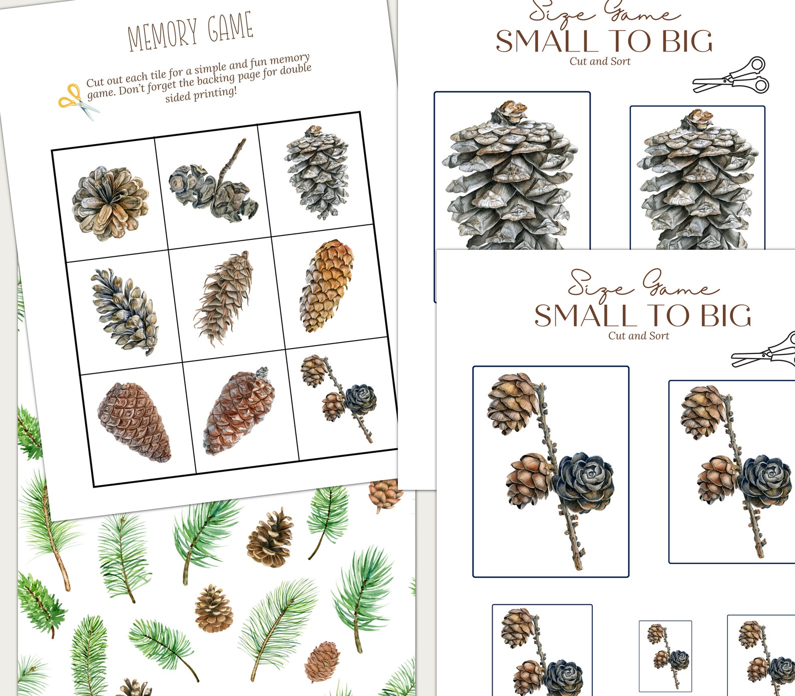 CONIFER Cones Unit Study, Vocabulary, Anatomy, Handwriting, Homeschool ...