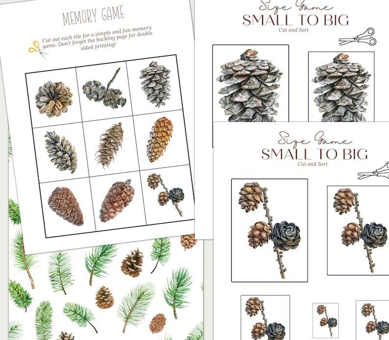 CONIFER Cones Unit Study Vocabulary Anatomy Handwriting - Etsy