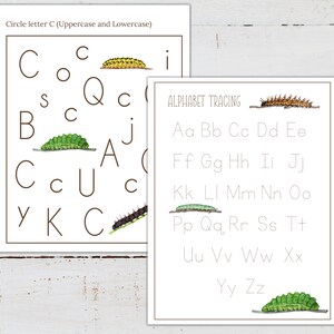 Letter C Caterpillar Activities: Alphabet Learning Printable (digital ...