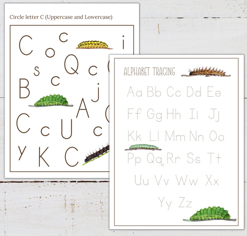Letter C Caterpillar Activities: Alphabet Learning Printable (digital ...