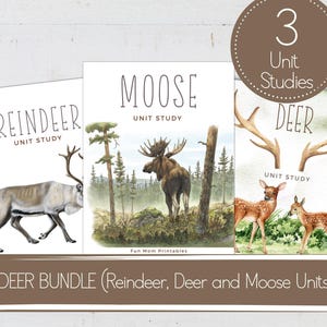 Deer, Moose, Reindeer Unit Studies Bundle (homeschool Printable) - Etsy
