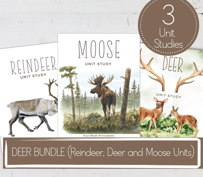 Deer, Moose, Reindeer Unit Studies Bundle (homeschool Printable) - Etsy