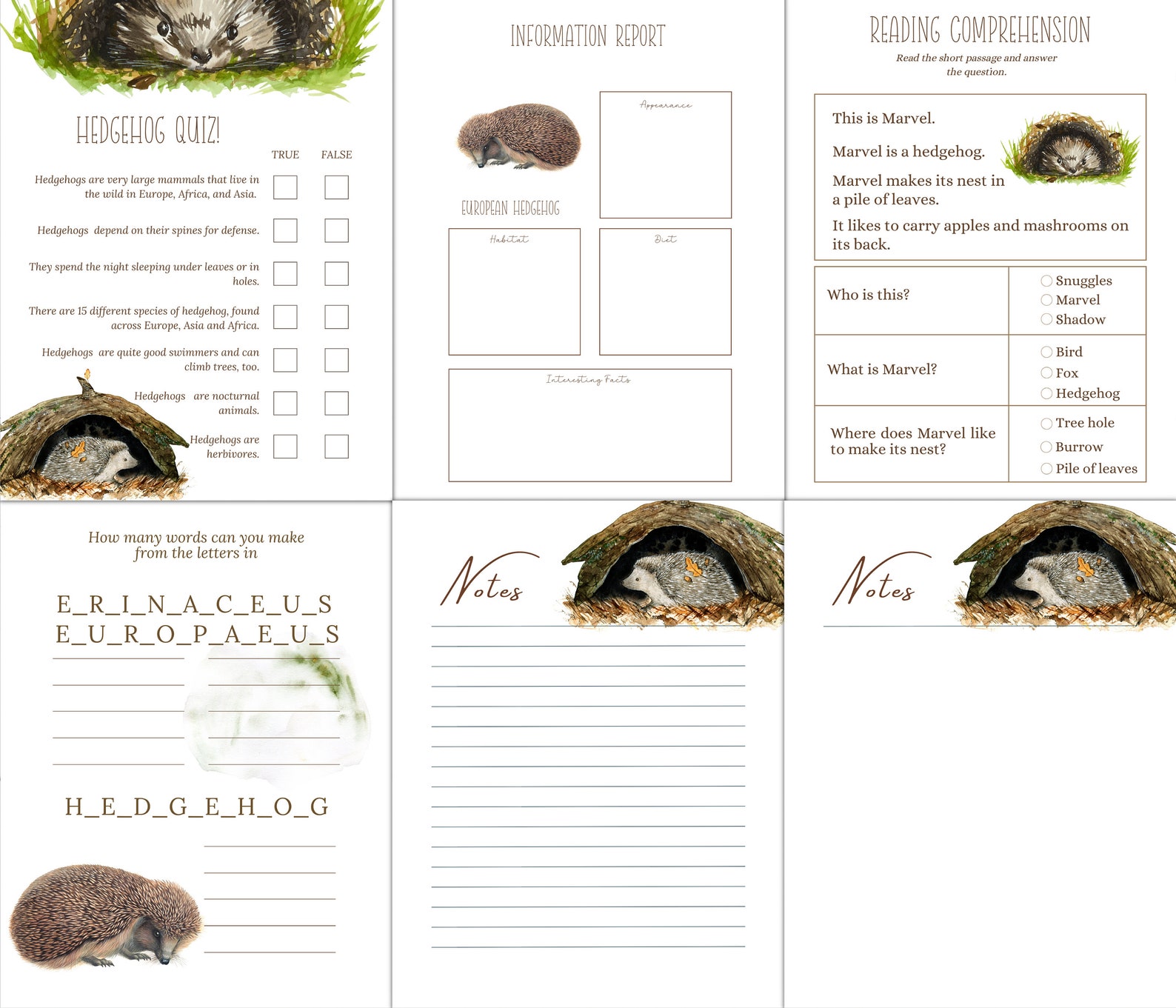Hedgehog Unit Study: Homeschool Science Printable (instant Download) - Etsy