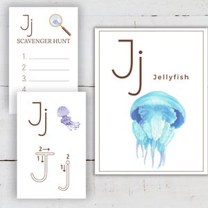 LETTER of the WEEK, J is for Jellyfish, Letter J Activities, Alphabet ...