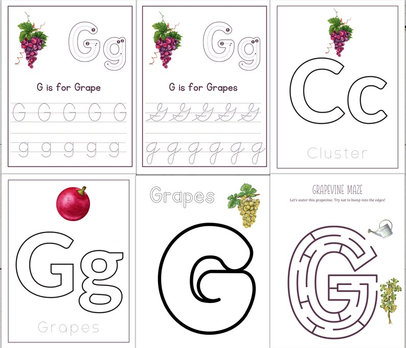 GRAPES Unit Study, Anatomy, Nature Study, Science, Handwriting ...