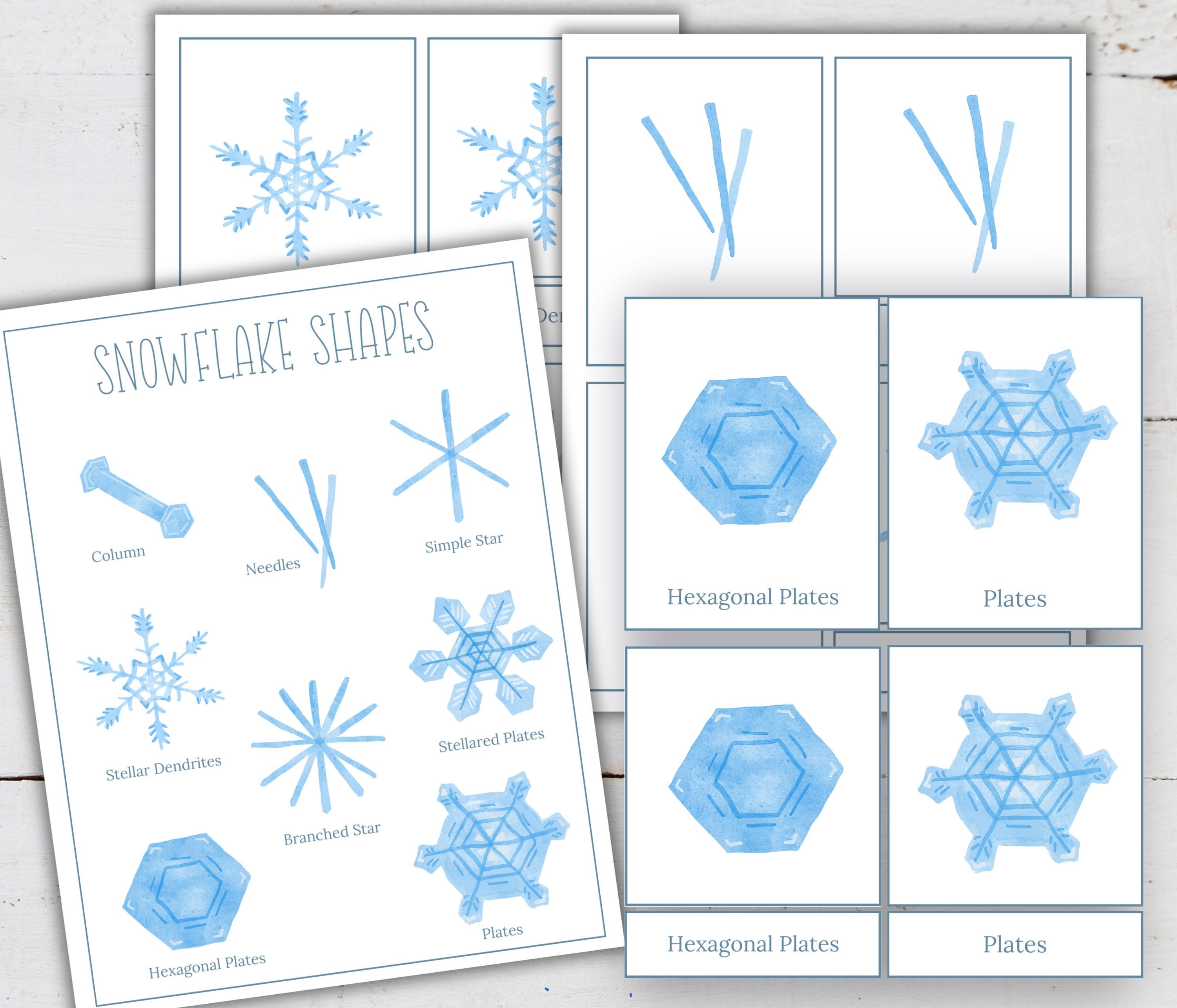 SNOWFLAKE Unit Study, Nature Study, Science, Handwriting, Homeschool ...