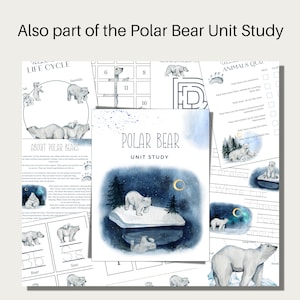 POLAR Bear Anatomy, Poster and Labeling Activity, Homeschool, Instant ...