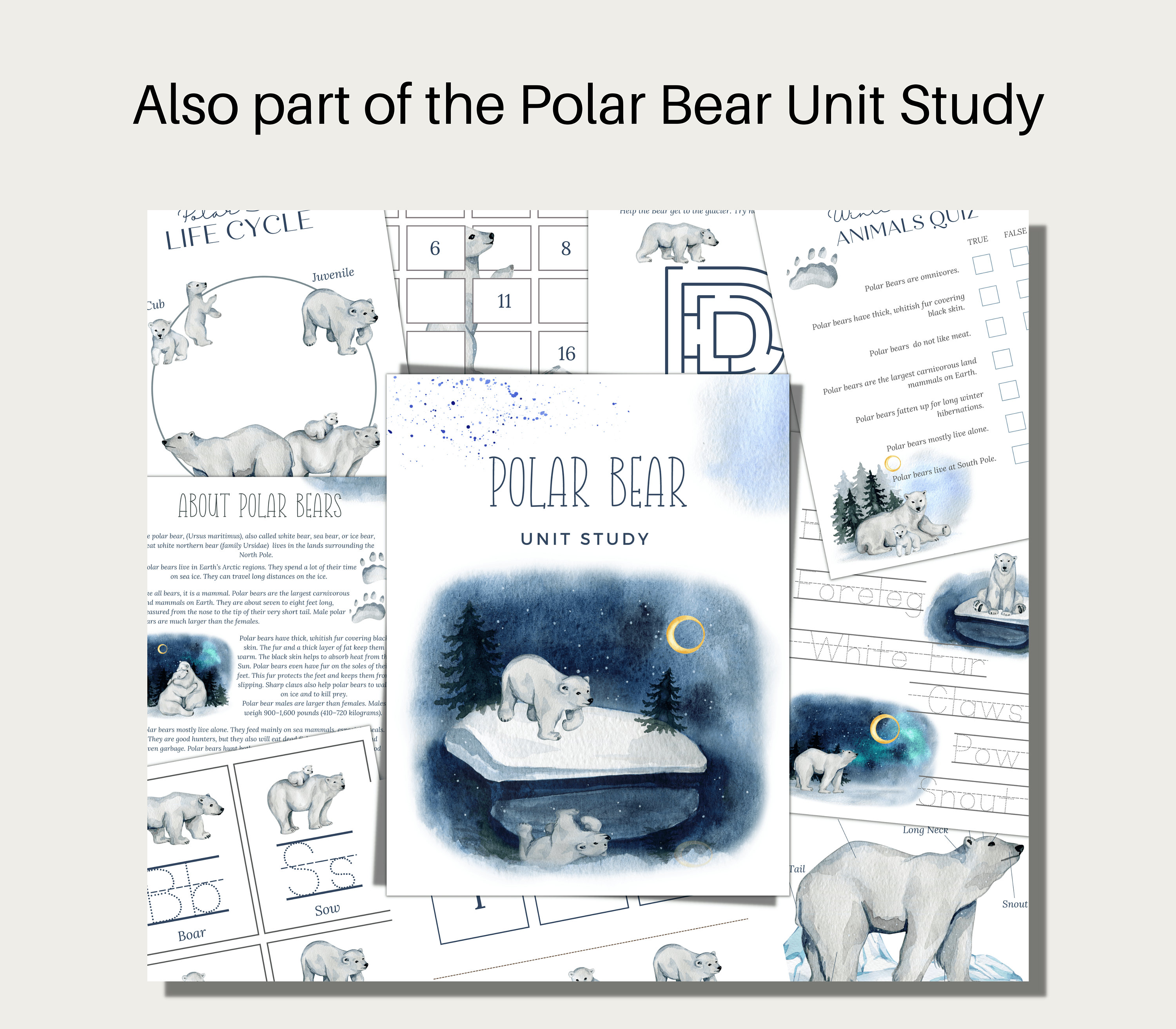 POLAR Bear Anatomy Poster and Labeling Activity Homeschool - Etsy Canada