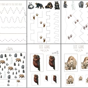 BEARS Unit Study, Life Cycle, Anatomy, Nature Study, Science ...