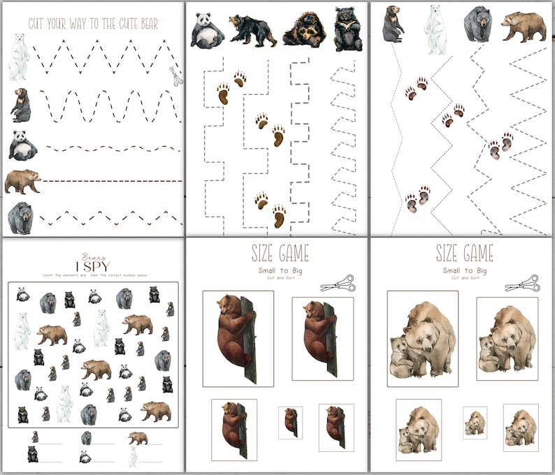 Bears Unit Study: Life Cycle, Anatomy, Homeschool Printable (instant ...