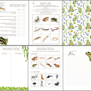 AMPHIBIANS Unit Study, Life Cycle, Anatomy, Nature Study, Science ...