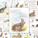 Rabbit Life Cycle Foldable Learning Activity for Kids | A4 and 11x8.5 ...