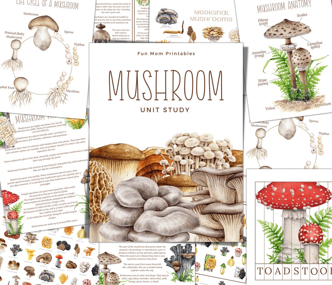 Mushroom Unit Study: Life Cycle, Anatomy, Homeschool Printable (instant ...